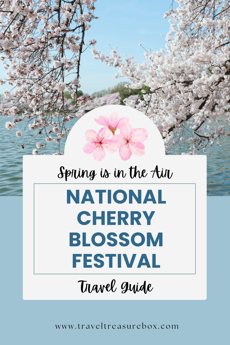 Cherry Blossom Festival in Washington DC; A Springtime Tradition ...